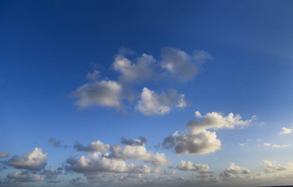 White Color Archives - StockFreedom - Premium Stock Photography