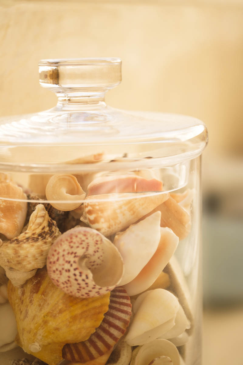 Close-up of seashells in glass jar - StockFreedom - Premium Stock ...