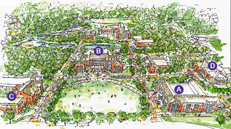 12 FACTS About the New Schools · Stonehill College