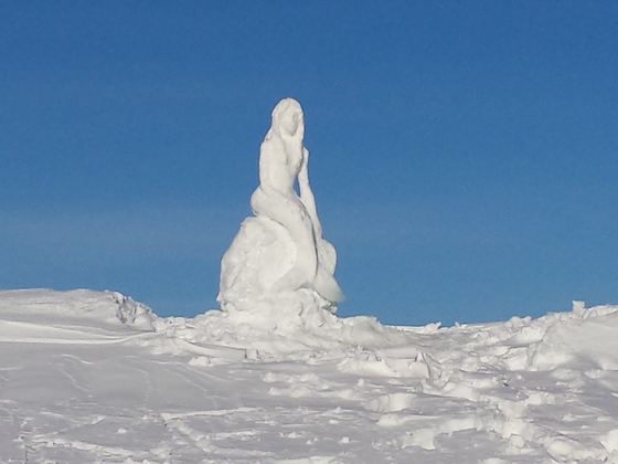 Community - Mermaid Snow Sculpture