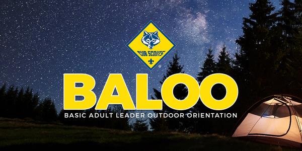 2025 Council Training Courses (2025)