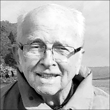 This online memorial is dedicated to David M Link. It is a place to ...