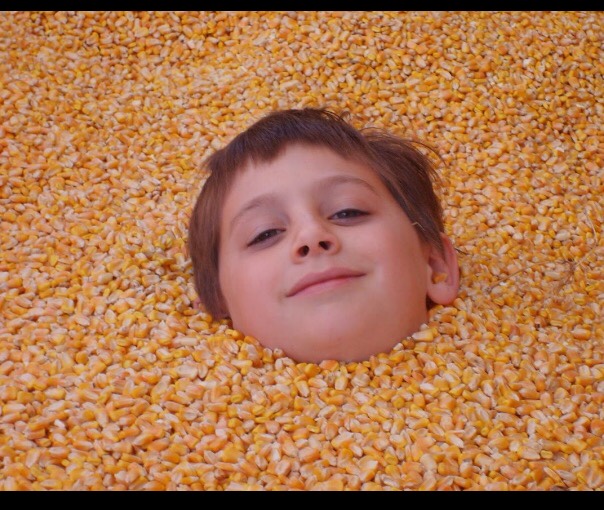 This online memorial is dedicated to Ethan Thomas Tharpe. It is a place ...