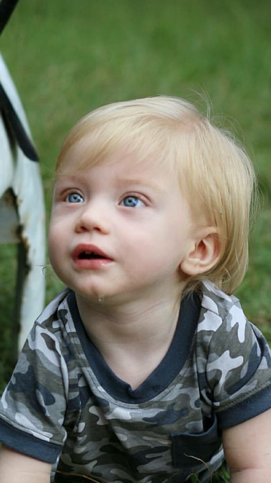 This online memorial is dedicated to Hunter Sebastian Stewart. It is a ...