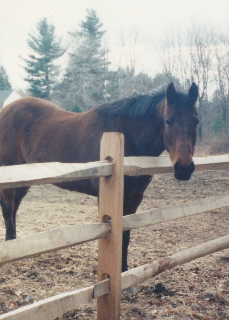 This online memorial is dedicated to Jane (Wilbur) Brown. It is a place ...