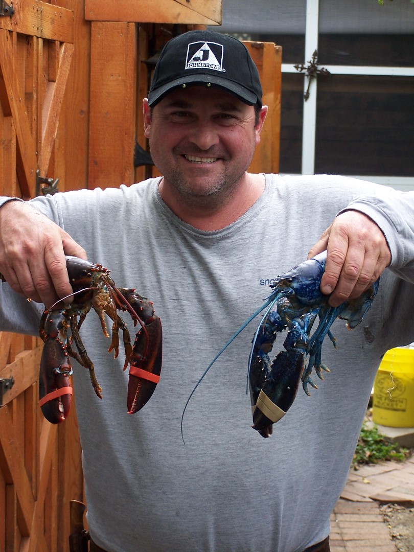 This online memorial is dedicated to Joseph DeCarlo Jr. It is a place ...