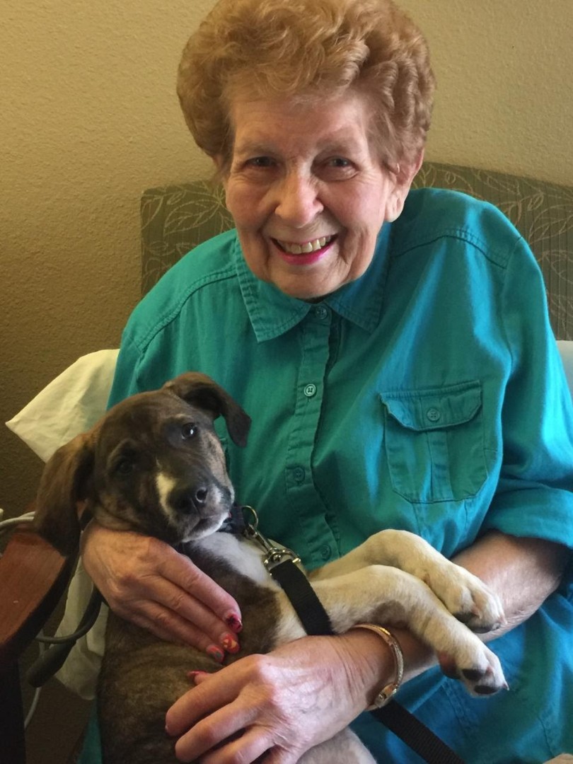 This online memorial is dedicated to Joyce Elaine Robson-Schiavo. It is ...