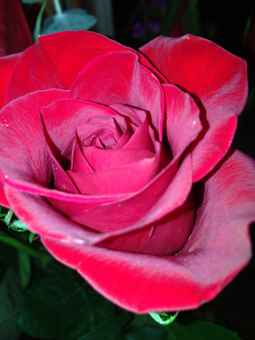 This online memorial is dedicated to Juanita Rose Crandell. It is a ...