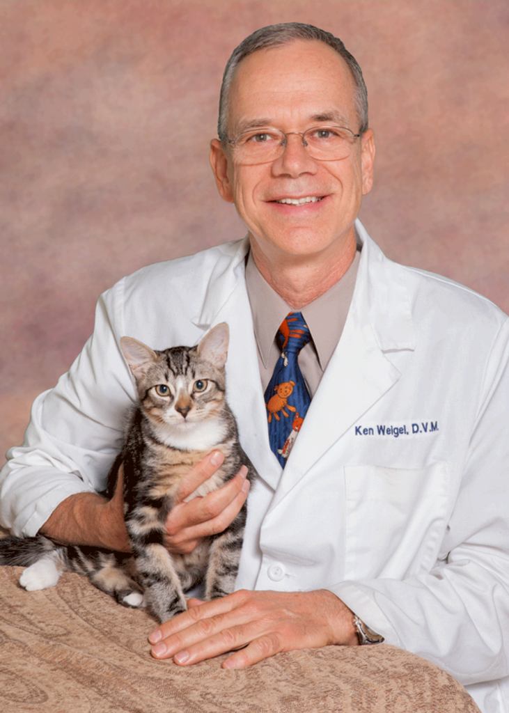 This online memorial is dedicated to Kenneth John Weigel. It is a place ...