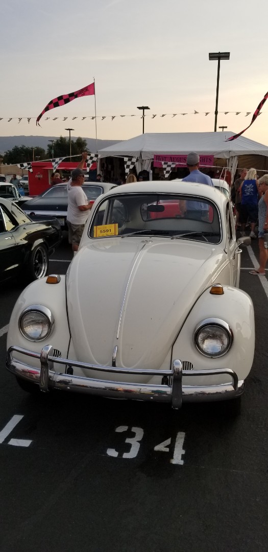 This online memorial is dedicated to Patricia Chambers. It is a place ...