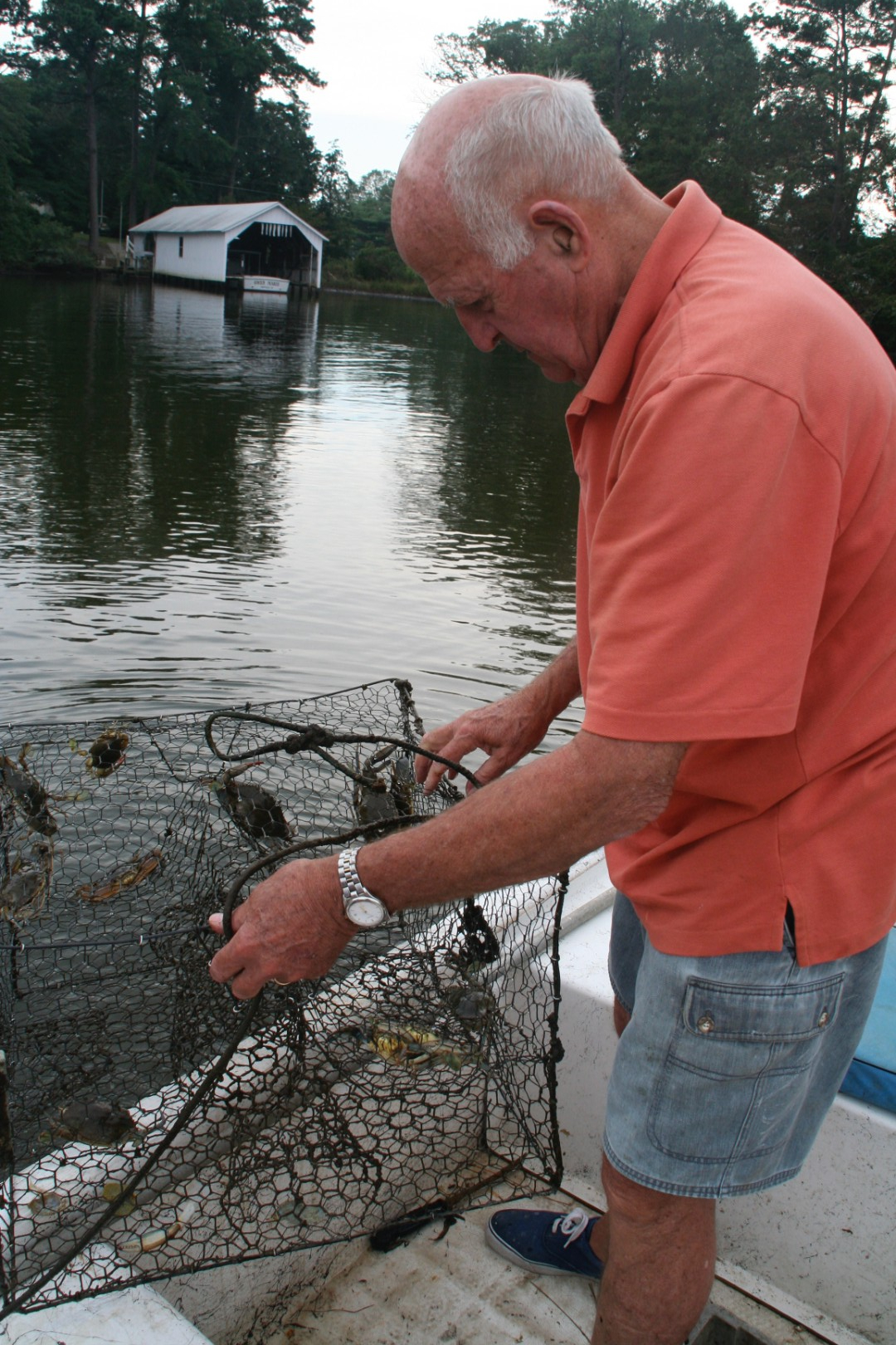 This online memorial is dedicated to Robert Asbury Cox, Jr.. It is a ...