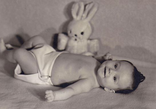 Click here to go to this photo