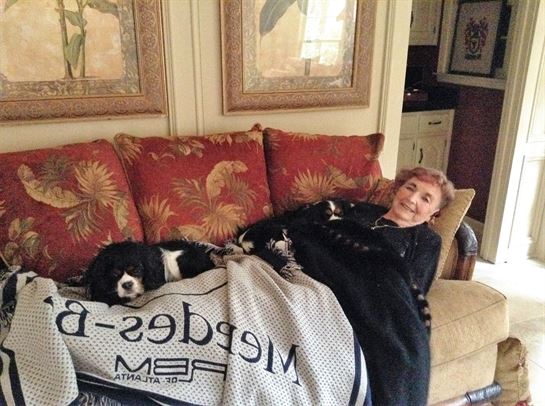 Click here to go to this photo