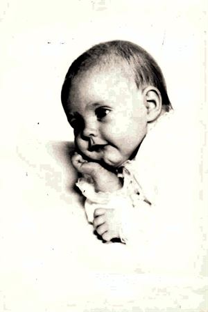 Click here to go to this photo