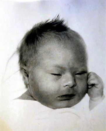 Click here to go to this photo