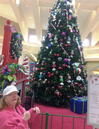 Click here to go to this photo