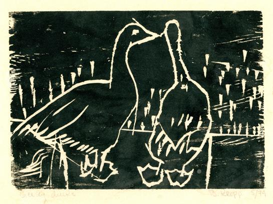 Geesey Ducks - Barbara Kropp - May 1974