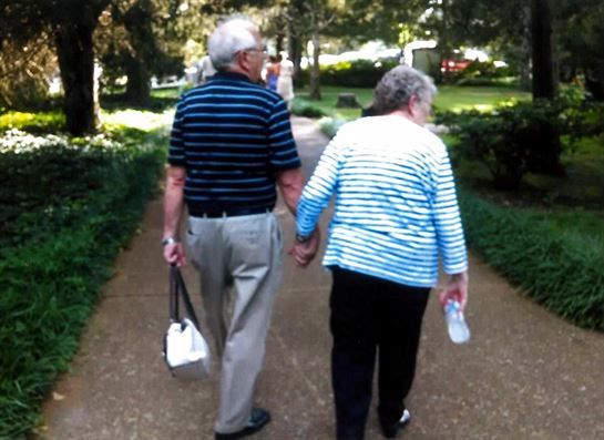 Click here to go to this photo