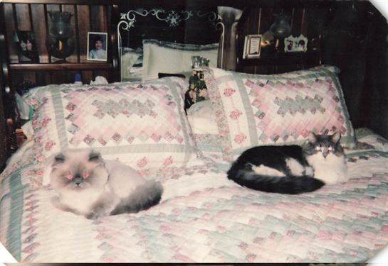 Click here to go to this photo