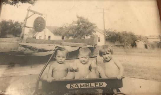 Click here to go to this photo