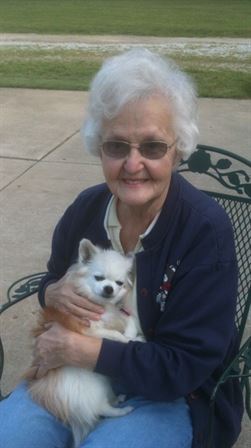 Click here to go to this photo