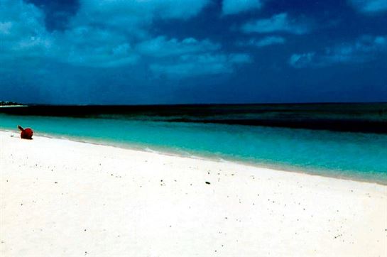 Click here to go to this photo