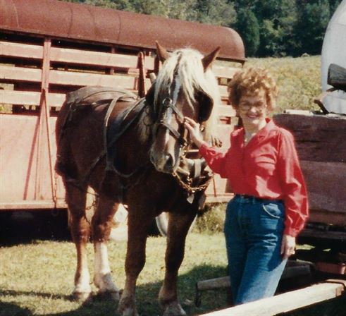 Click here to go to this photo