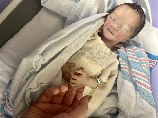 Click here to go to this photo