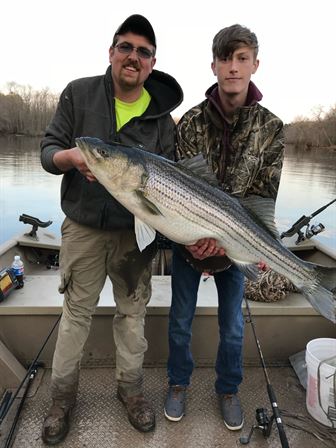 Click here to go to this photo