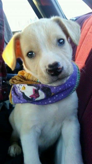 Click here to go to this photo