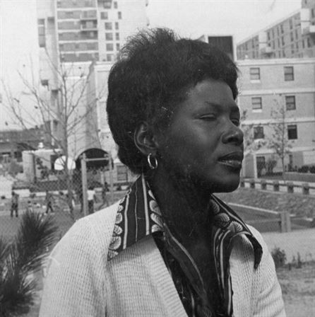 Click here to go to this photo