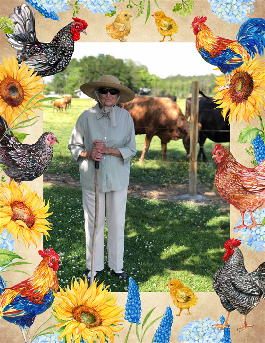 Click here to go to this photo