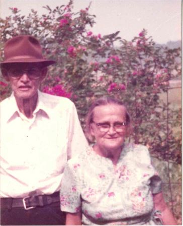 Click here to go to this photo