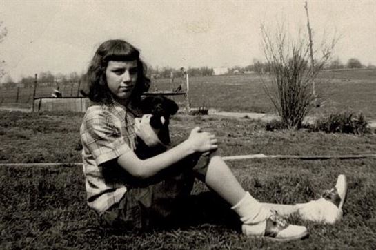 Click here to go to this photo