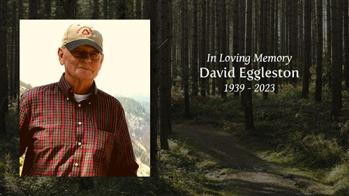 David Eggleston Video