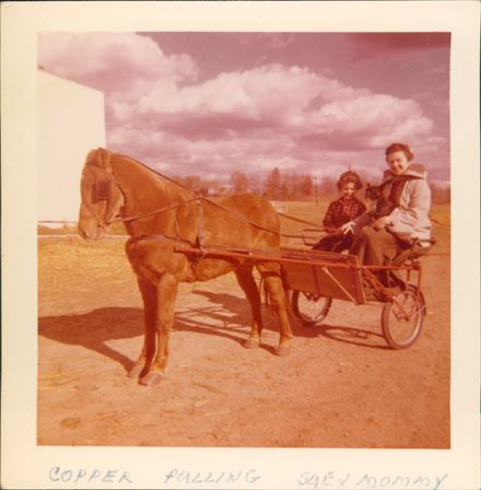 Click here to go to this photo