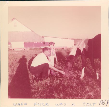 Click here to go to this photo