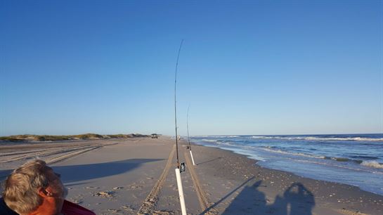 Click here to go to this photo