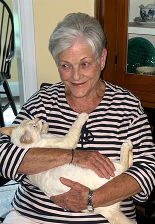 Click here to go to this photo