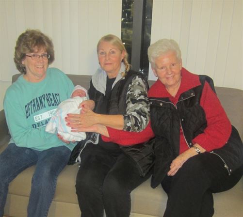 Click here to go to this photo