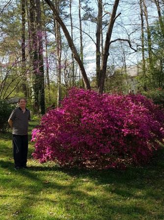 Click here to go to this photo