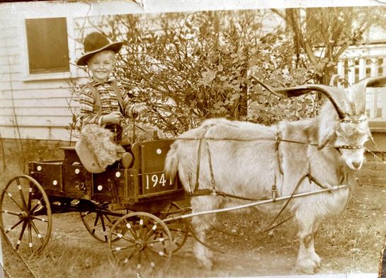 Click here to go to this photo