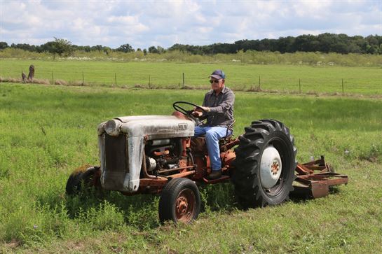 Click here to go to this photo