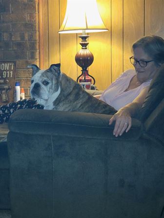 Click here to go to this photo