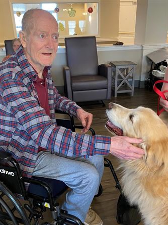 Click here to go to this photo