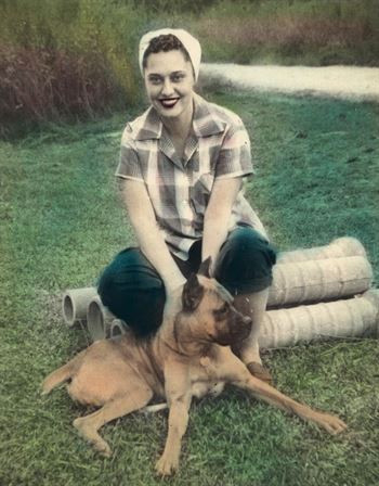 Click here to go to this photo