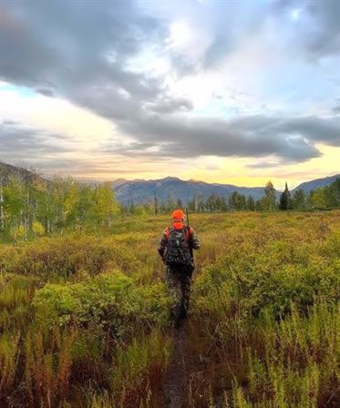 Click here to go to this photo