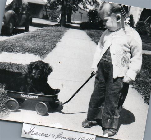 Click here to go to this photo