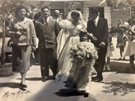 Click here to go to this photo