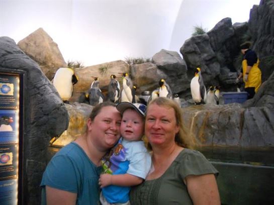 Click here to go to this photo